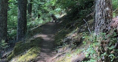 Contact for More Information › Deborah Lyman